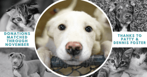Lexington Humane Society