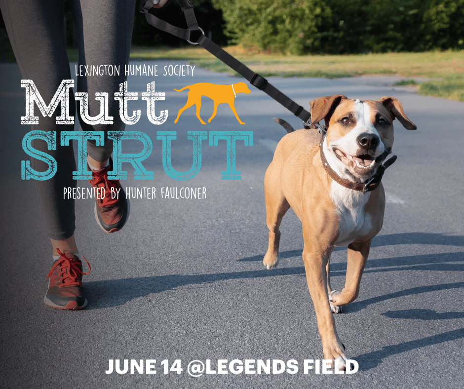 Lexington Humane Society