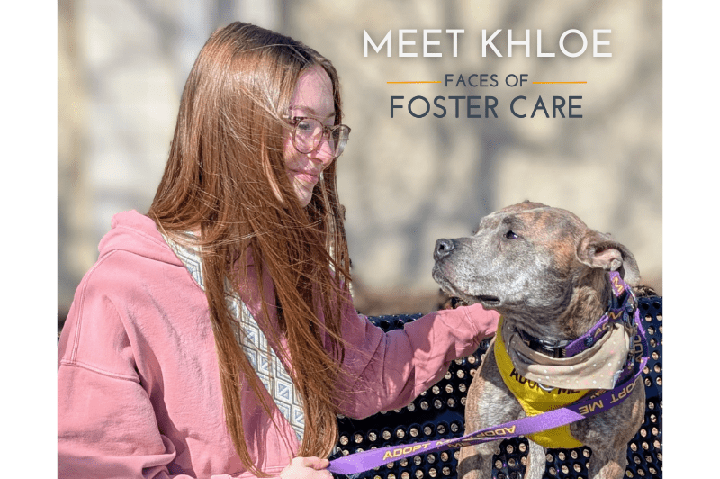 Lexington Humane Society