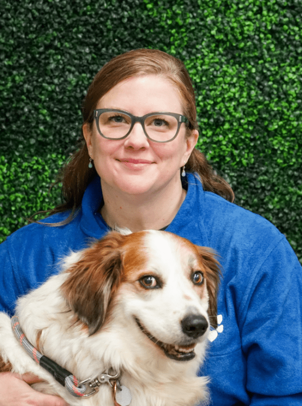 Meet Our Team – Lexington Humane Society