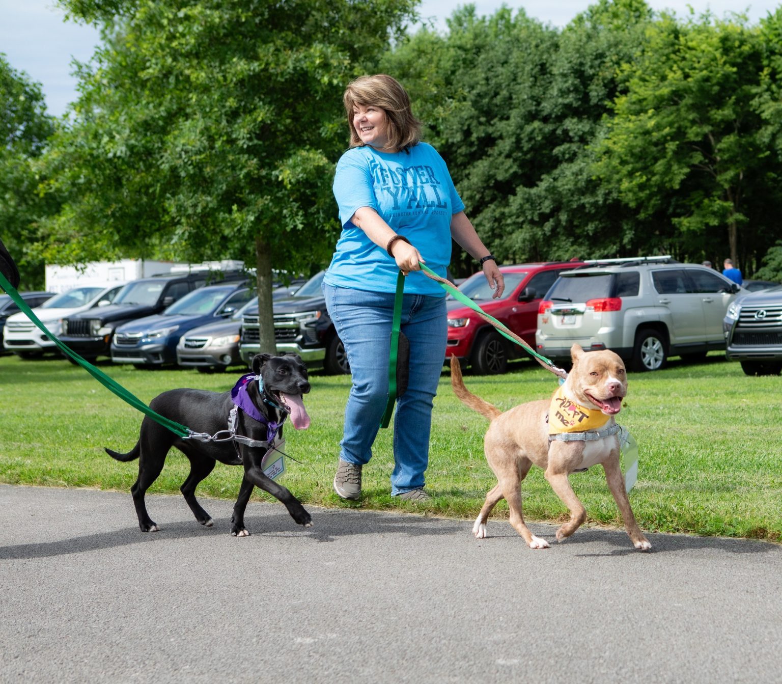 Volunteer – Lexington Humane Society