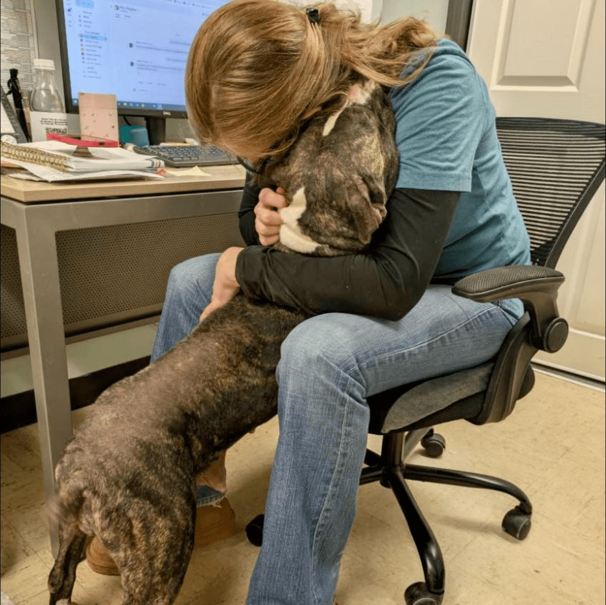 Employment – Lexington Humane Society