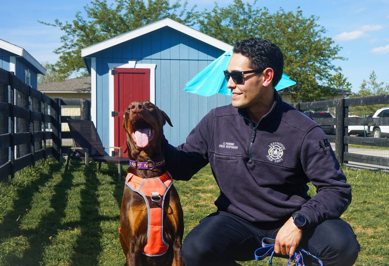 Become a Foster Parent – Lexington Humane Society